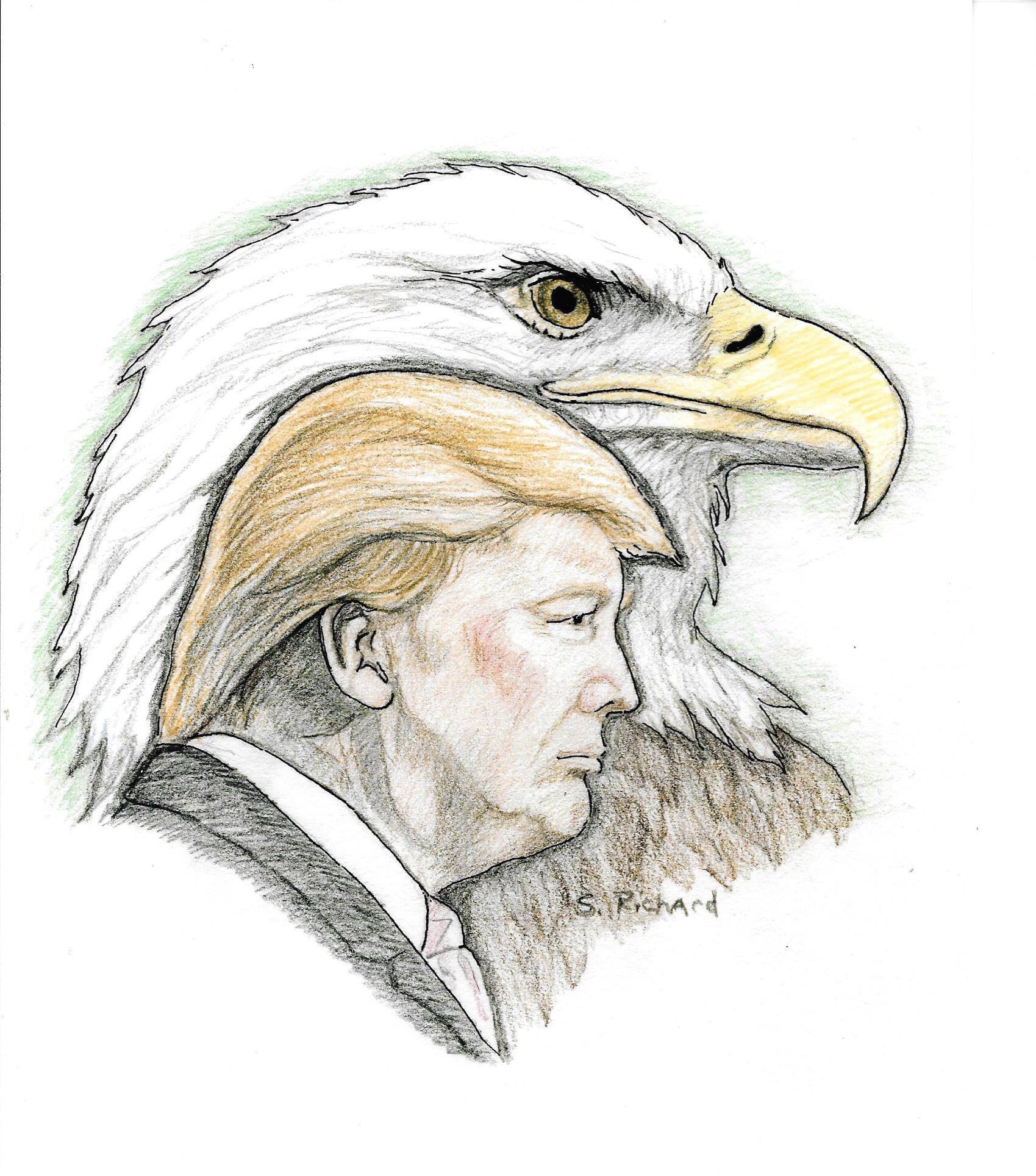 Bald eagle’s comeback during President Trump’s administration ...