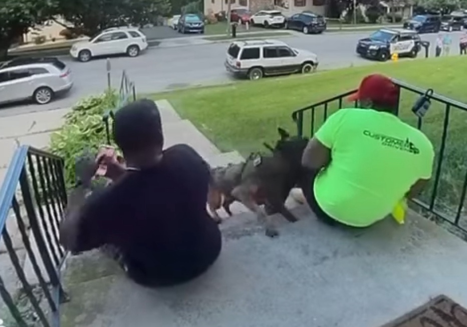 Police K9 bites man sitting on front porch in Harrisburg, Pennsylvania ...